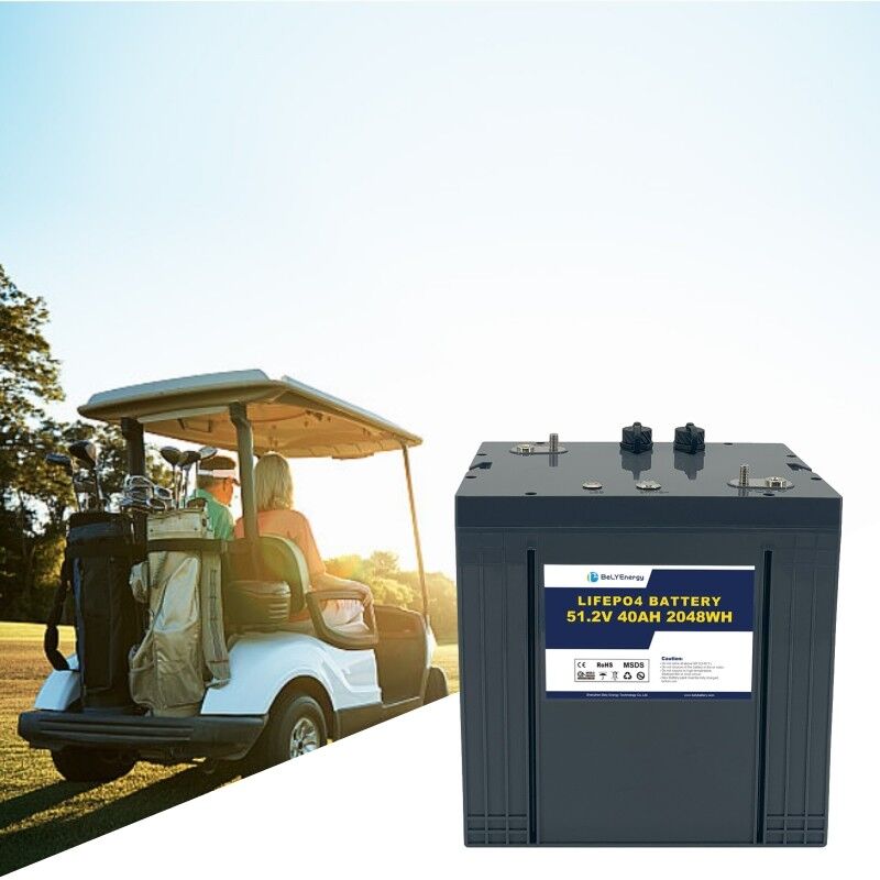 5000 Cycles High Power Fast Charging Lithium Ion Battery 48V40Ah For ...