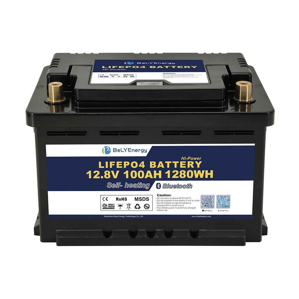 Smart BMS 12V LiFePo4 Battery with 100AH Capacity for Versatile ...